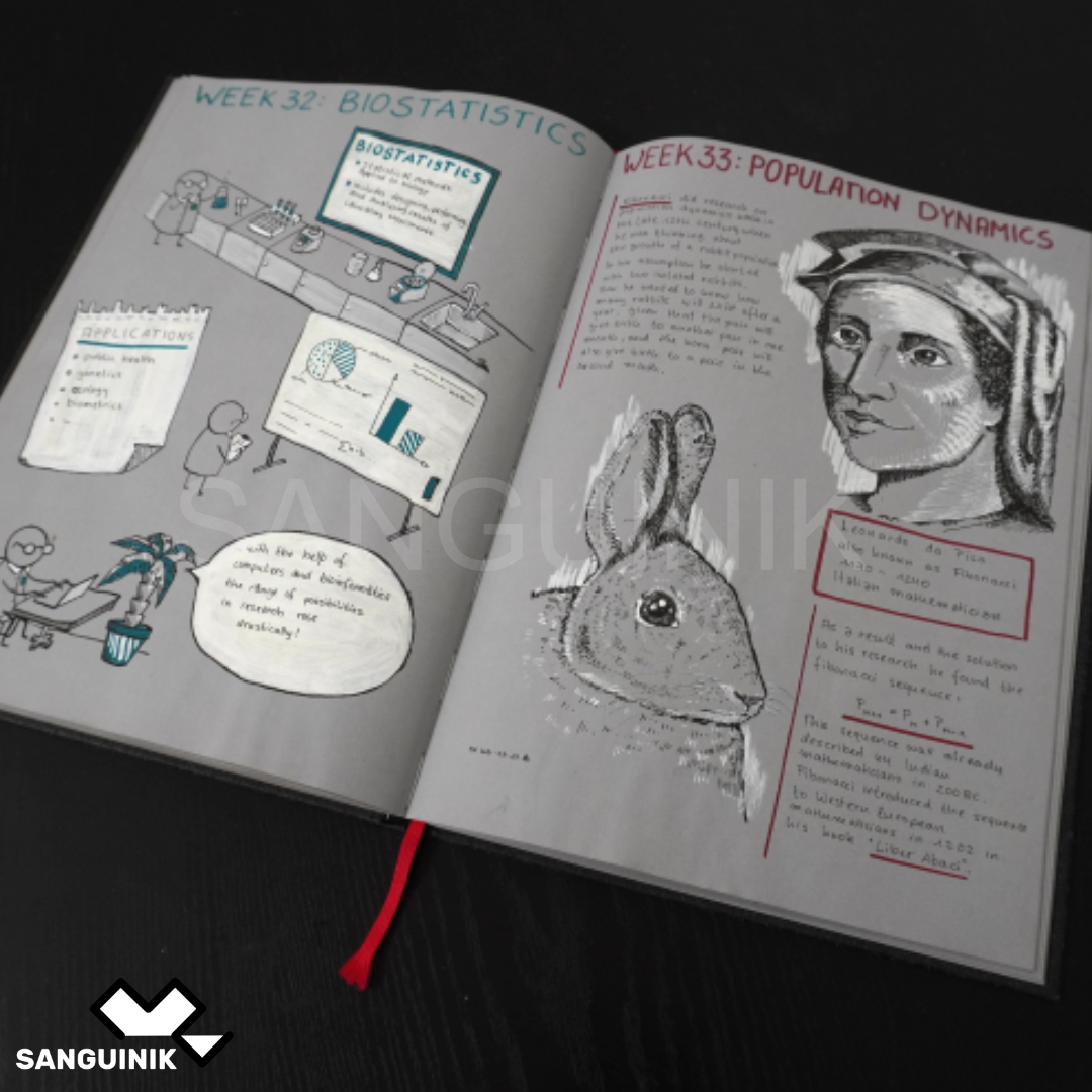 mathyear – Sanguinik.de